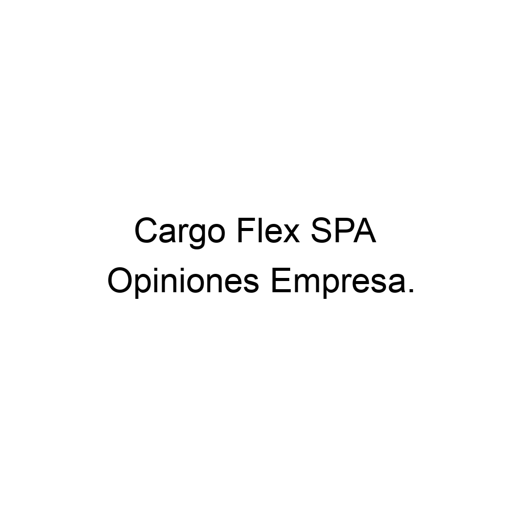 Opiniones Cargo Flex SPA, 56223671373