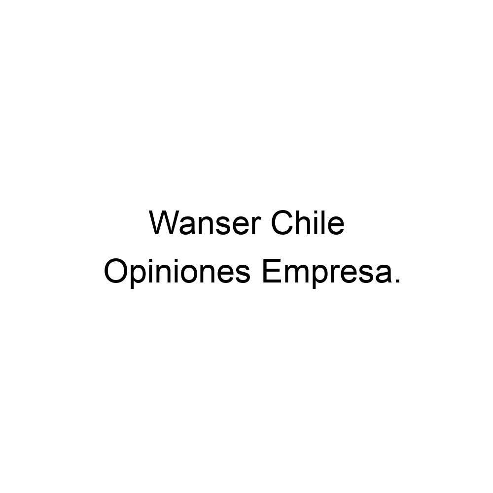 Opiniones Wanser Chile, 227776541